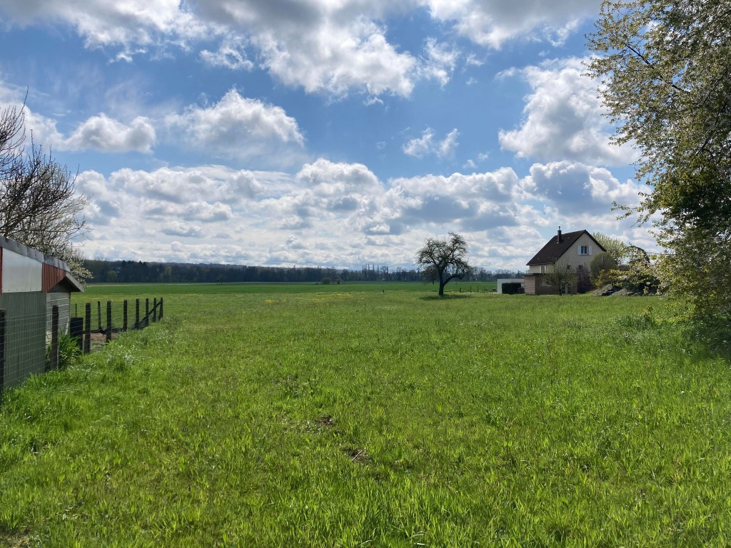 Batige - Constructeur de maisons individuelles en Alsace